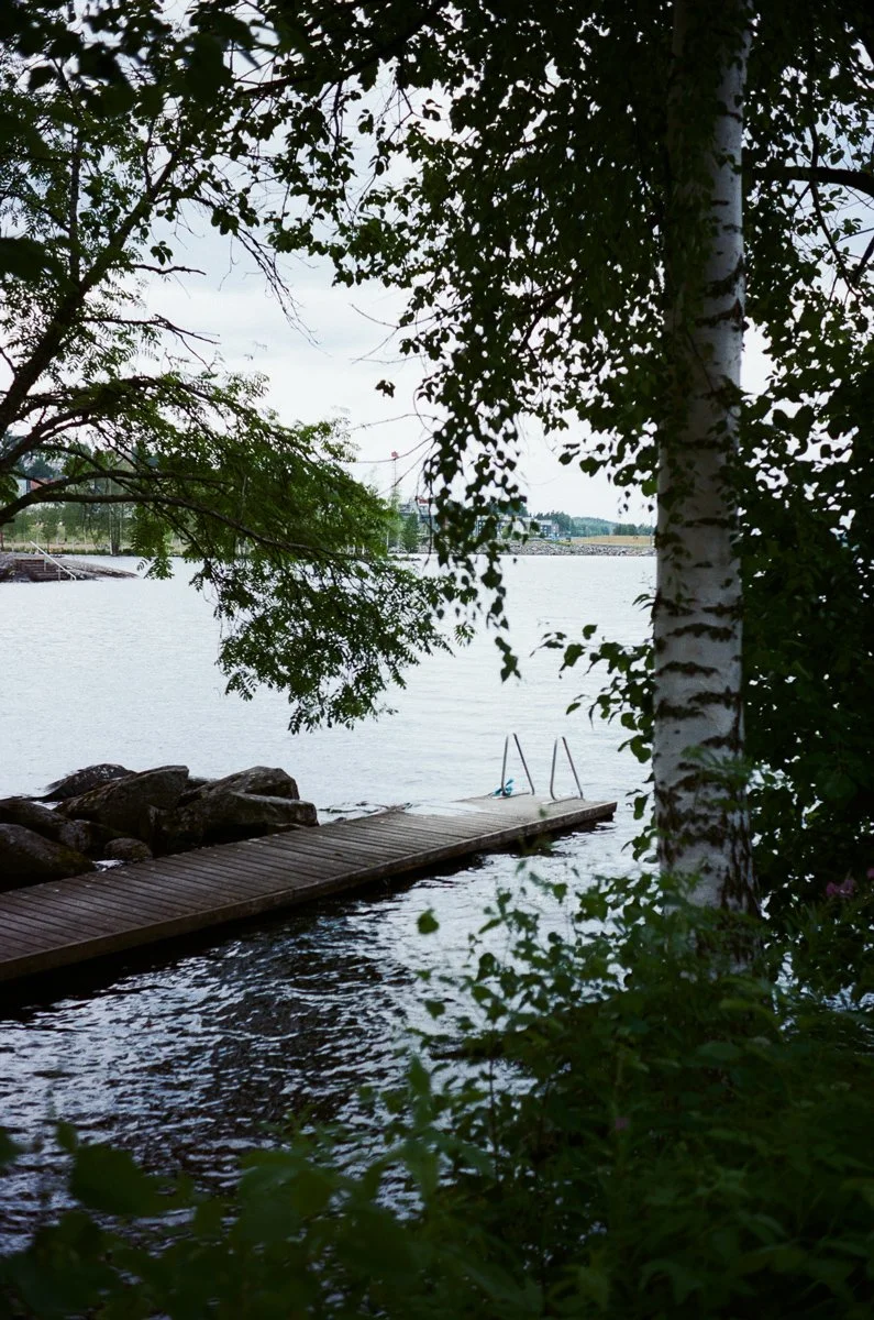 The Appeal of Analogue Photography — Bergermargaret Photography