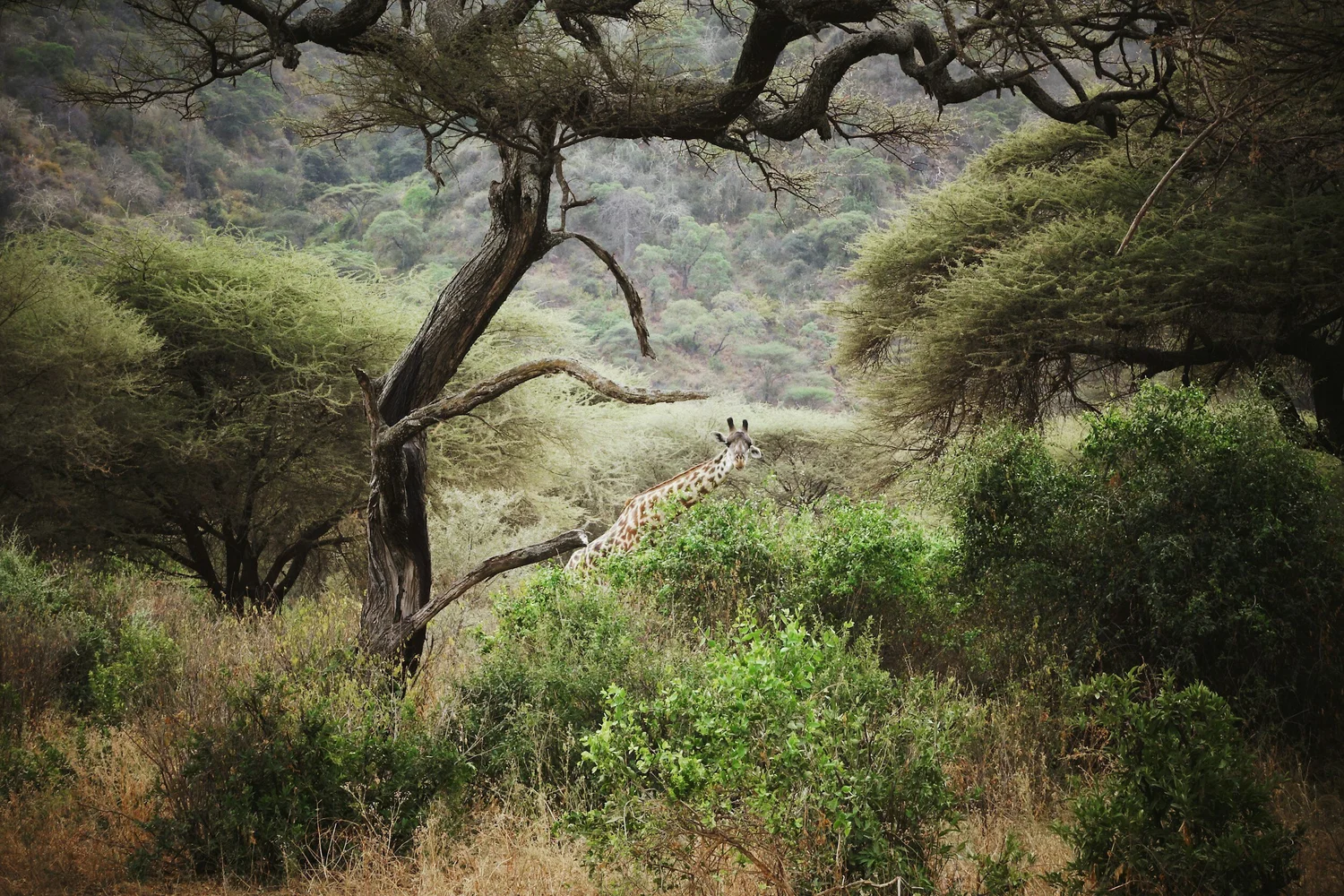 BornWild Travel Adventures | The Ultimate Guide for Visiting Lake ...