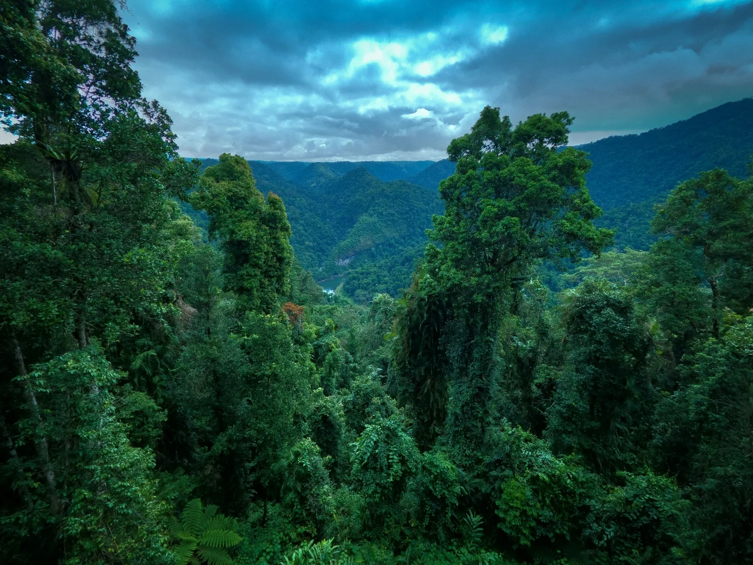 BornWild Travel Adventures | The Ultimate Guide To The 12 Wildest ...