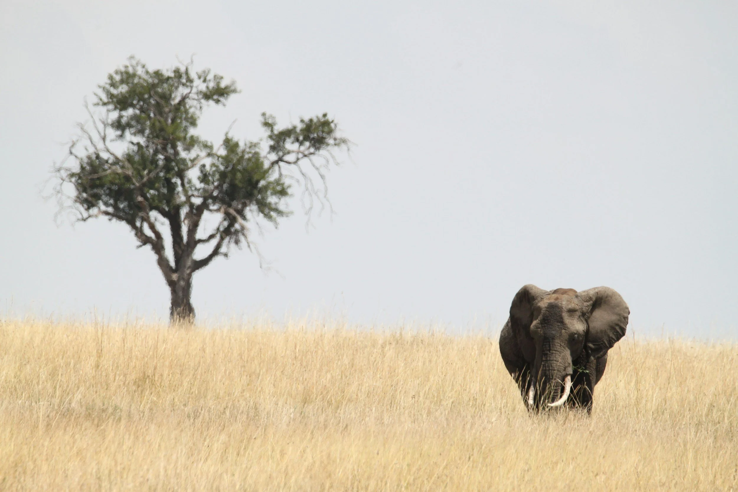 BornWild Travel Adventures | Guide To Visiting The Most Peaceful Places ...