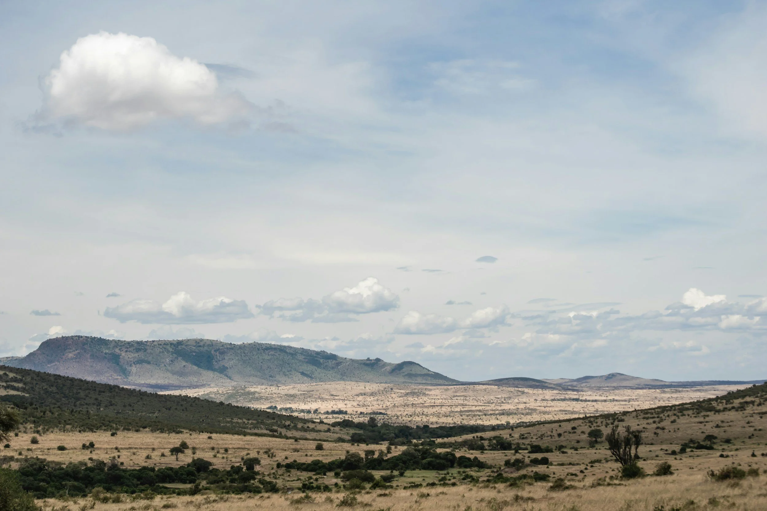 BornWild Travel Adventures | How To Get From Nairobi To Arusha - Your ...