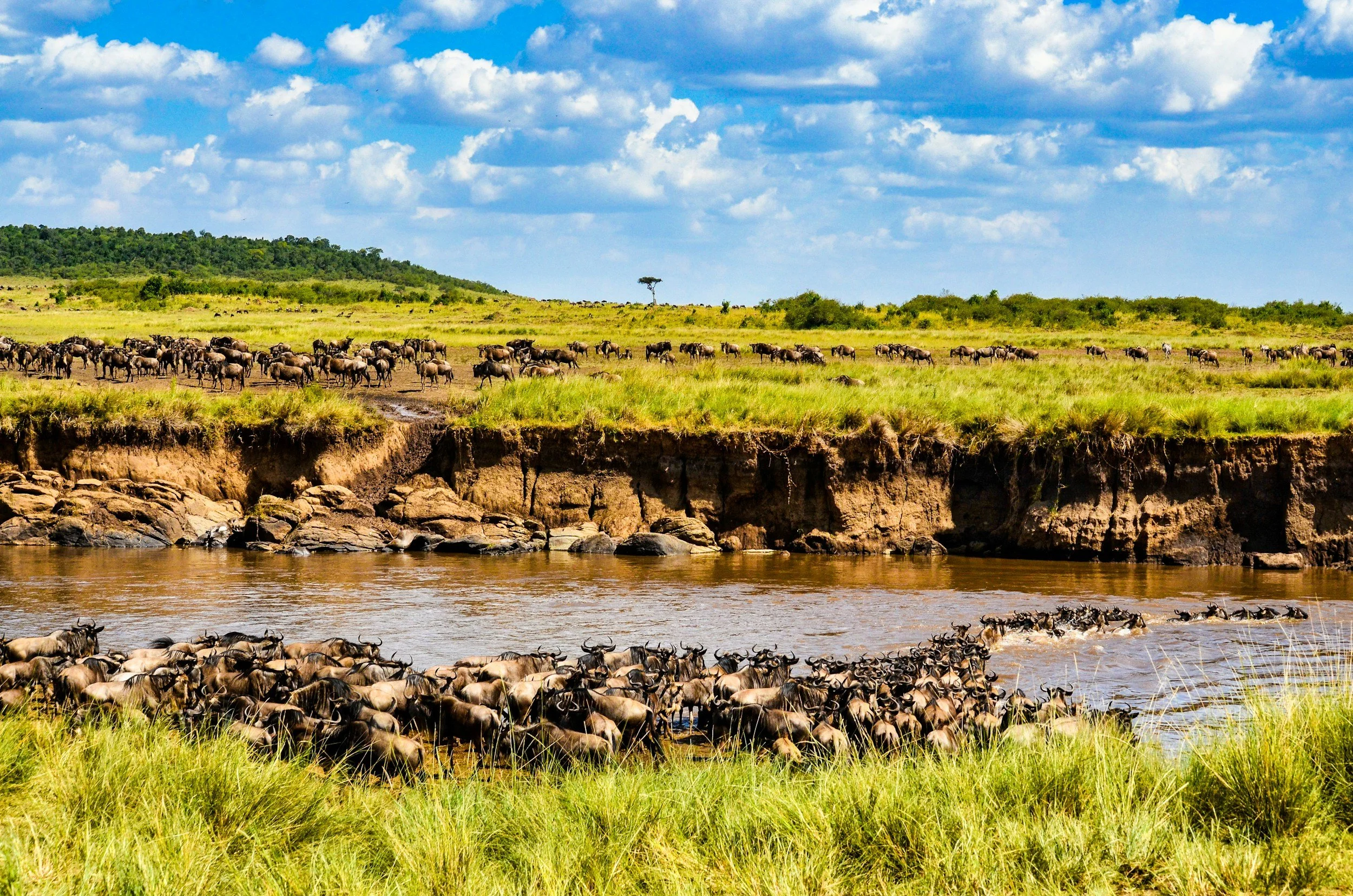 BornWild Travel Adventures | The Serengeti - 12 Awesome Facts To Read ...
