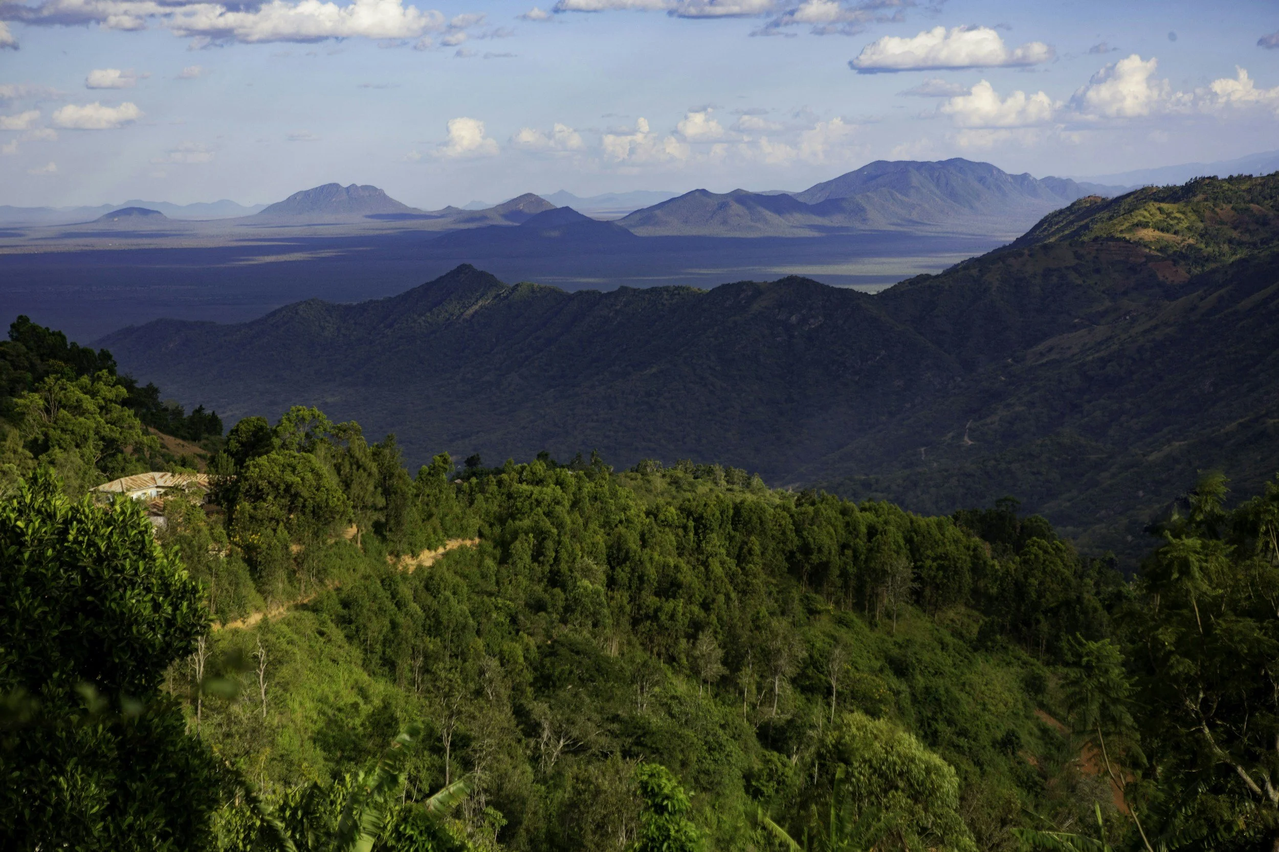 BornWild Travel Adventures | What You Need To Know About Visiting ...