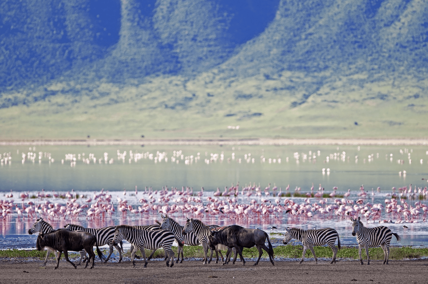BornWild Travel Adventures | THE ESSENTIAL GUIDE TO THE NGORONGORO ...