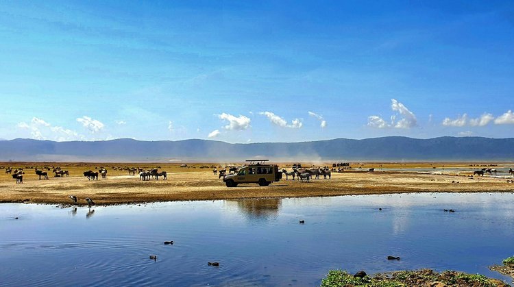 BornWild Travel Adventures | THE ESSENTIAL GUIDE TO THE NGORONGORO ...