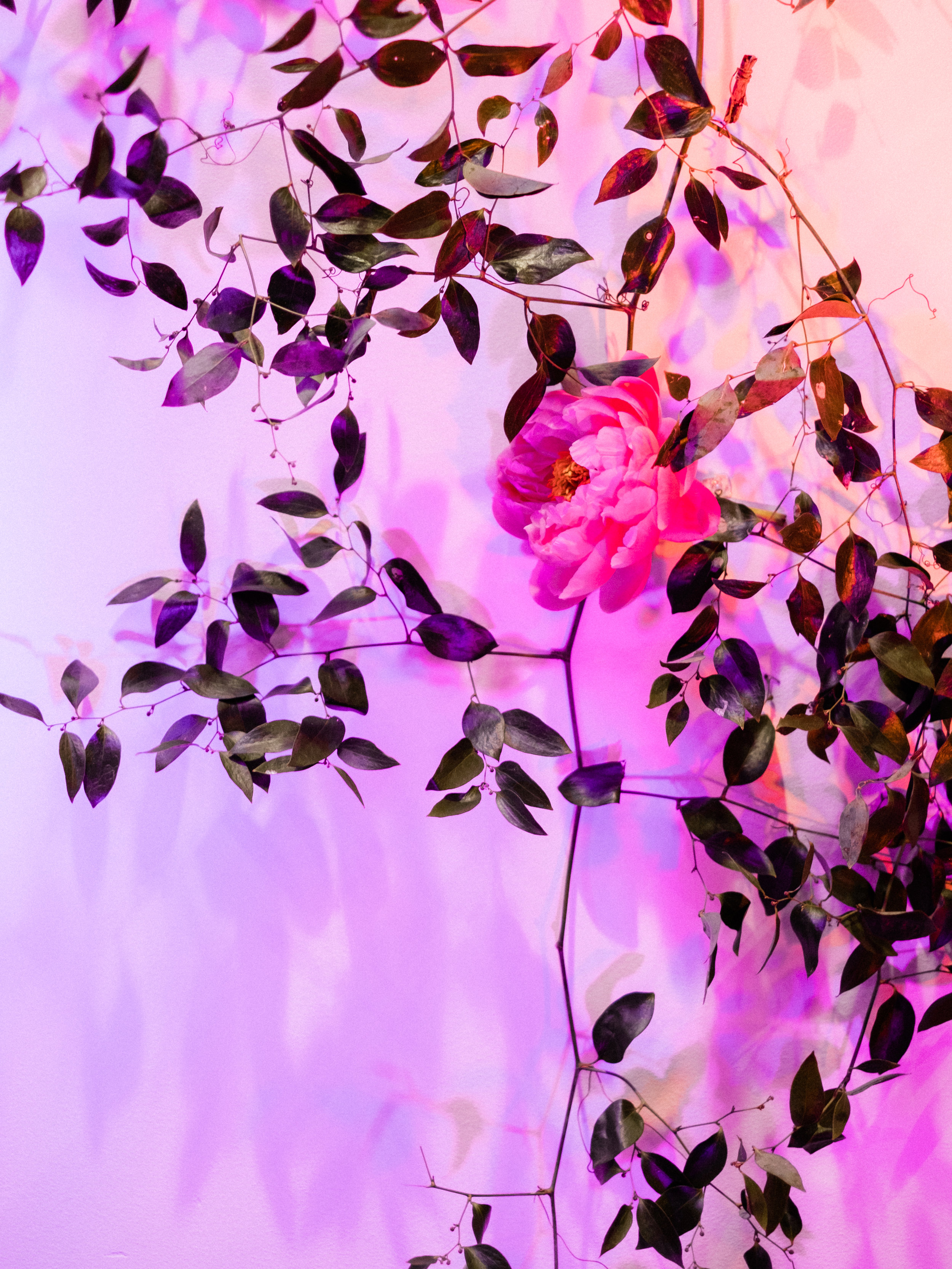 Mary & Justin - Events on Jackson Wedding — A Day to Cherish Weddings ...