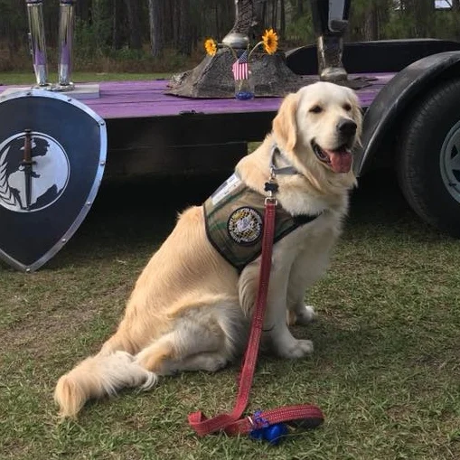 Dimmer Valor — Valor Service Dogs