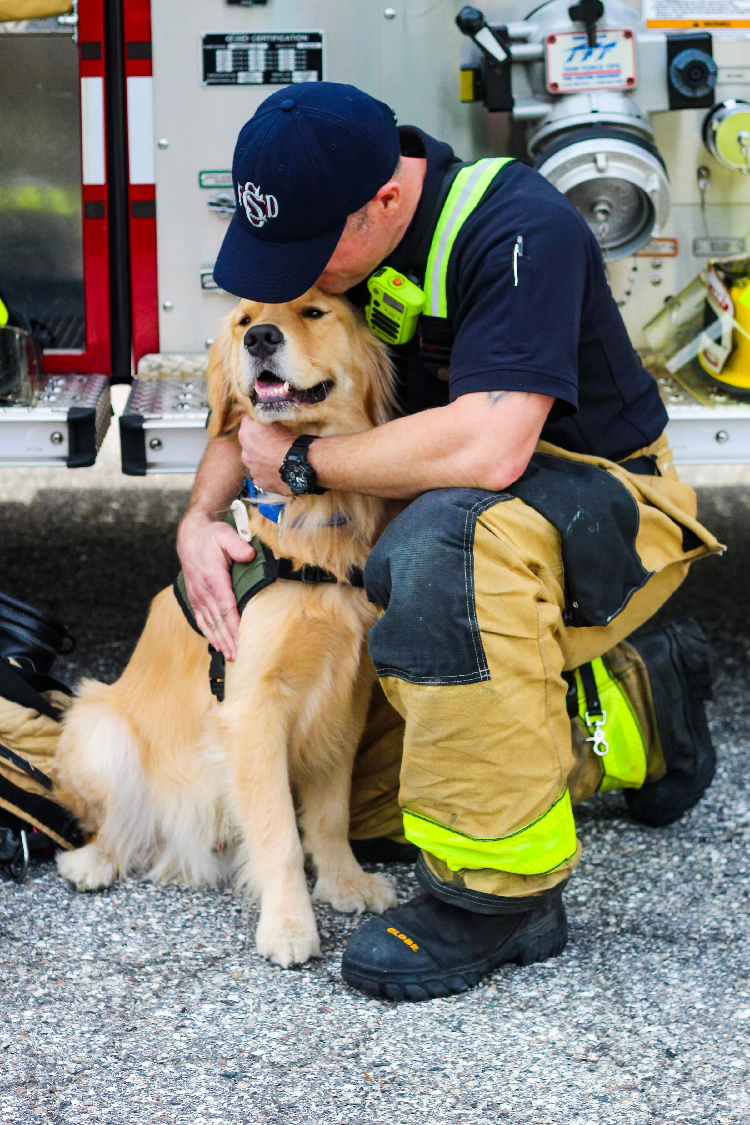 Capacity Building Campaign — Valor Service Dogs