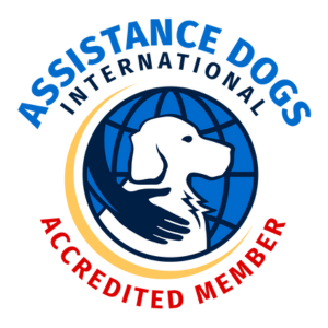 Trained Therapy & Service Dogs | Valor Service Dogs