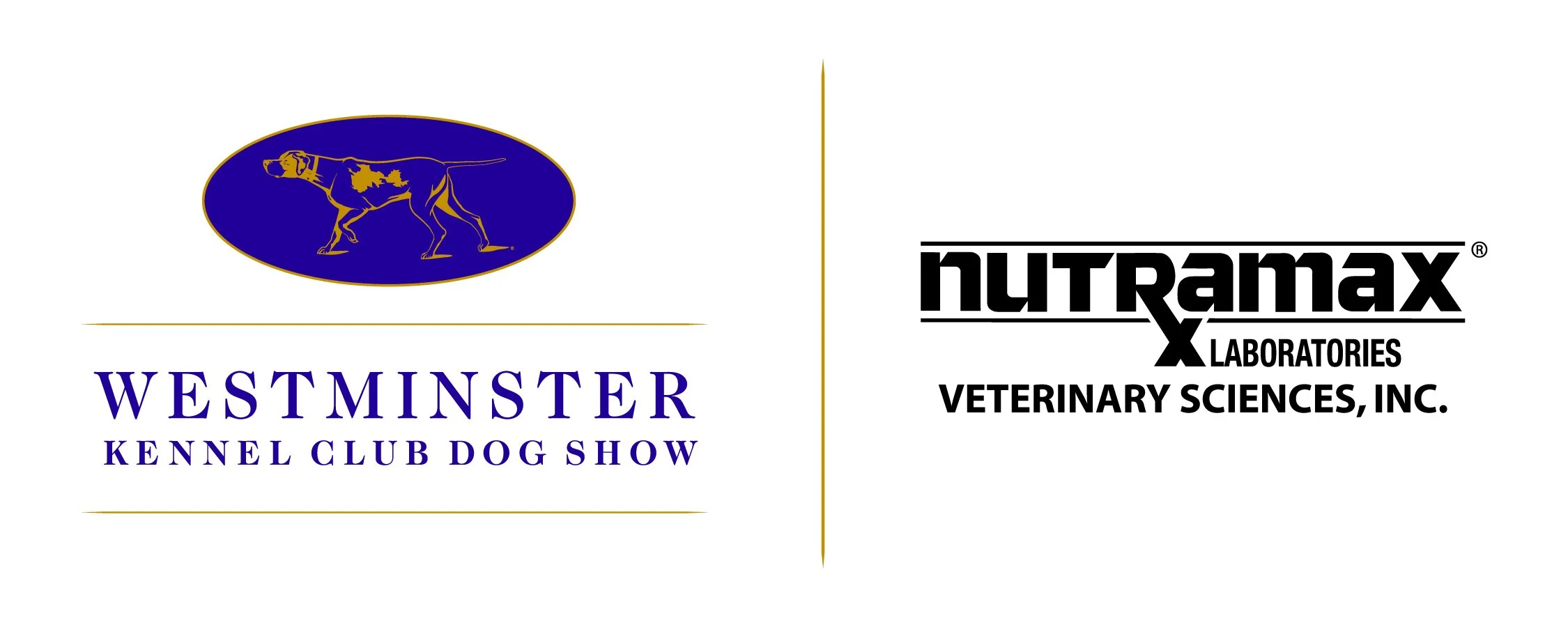 Apply For Psychiatric & Mobility Service Dog | Valor Service Dogs ...