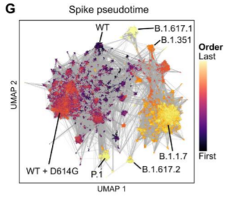 Publications — the Peter Kim Lab