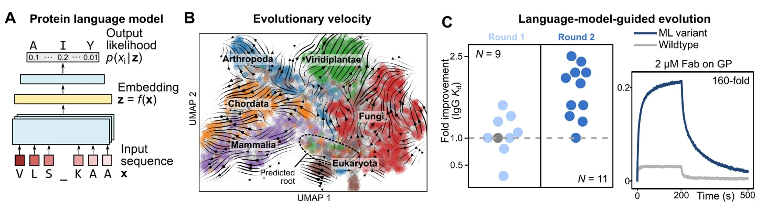the Peter Kim Lab