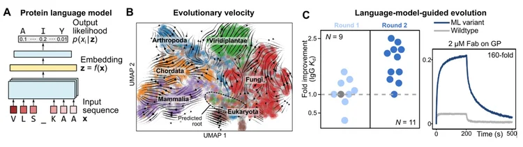the Peter Kim Lab