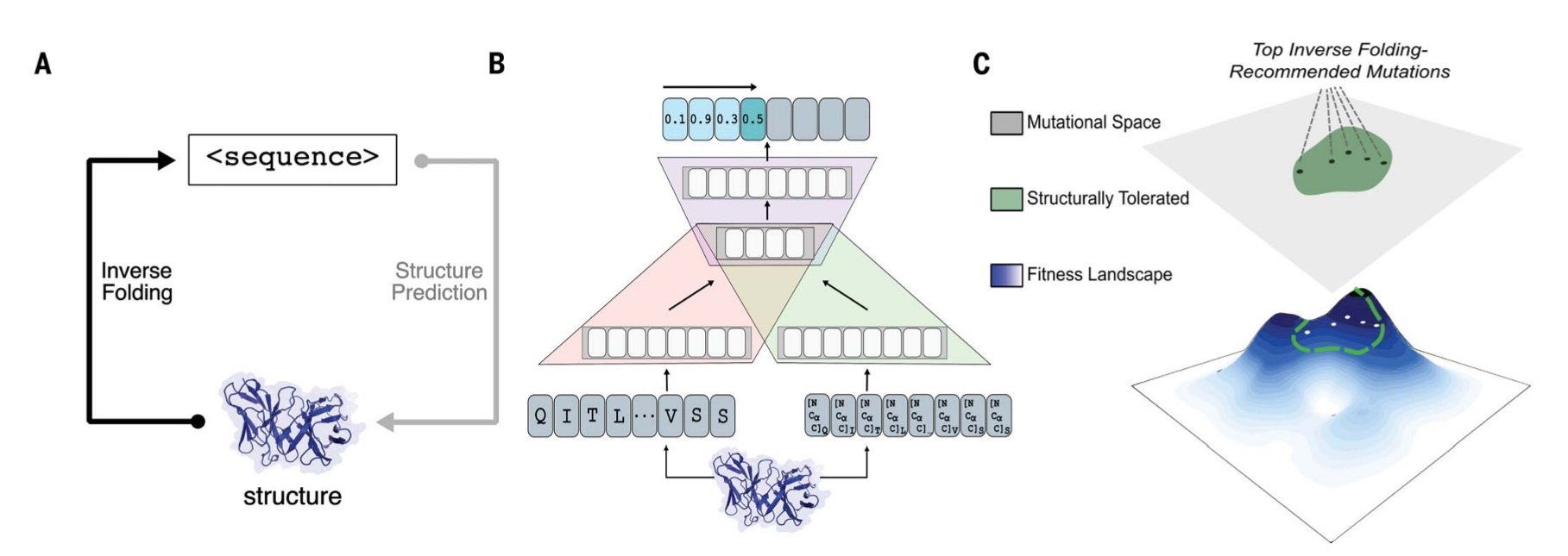 Research 4 — the Peter Kim Lab
