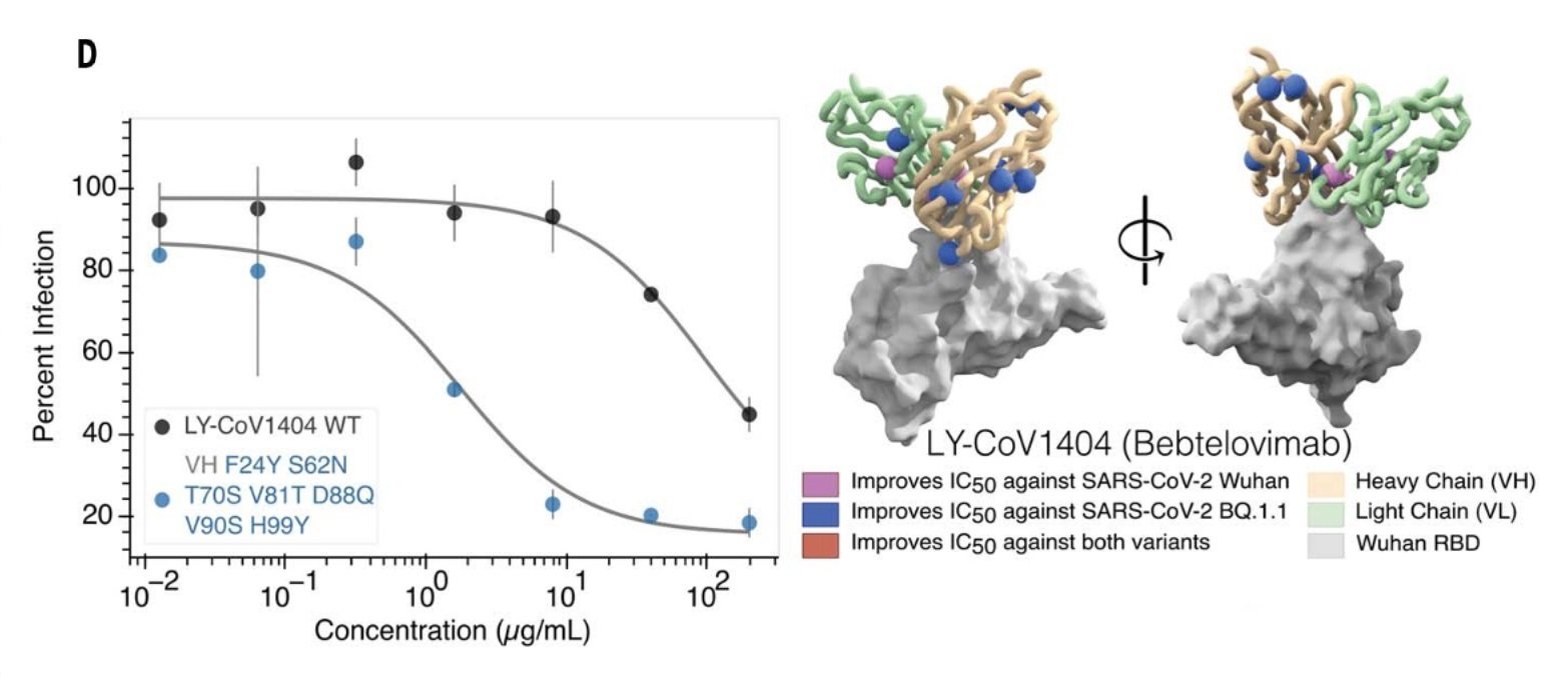 Research 4 — the Peter Kim Lab