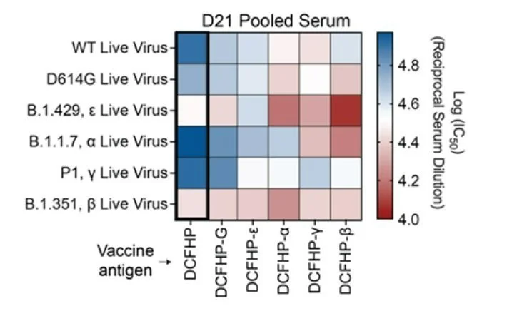 Publications — the Peter Kim Lab