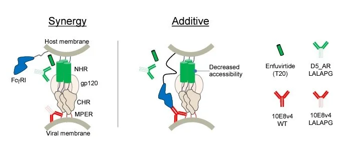 Publications — the Peter Kim Lab