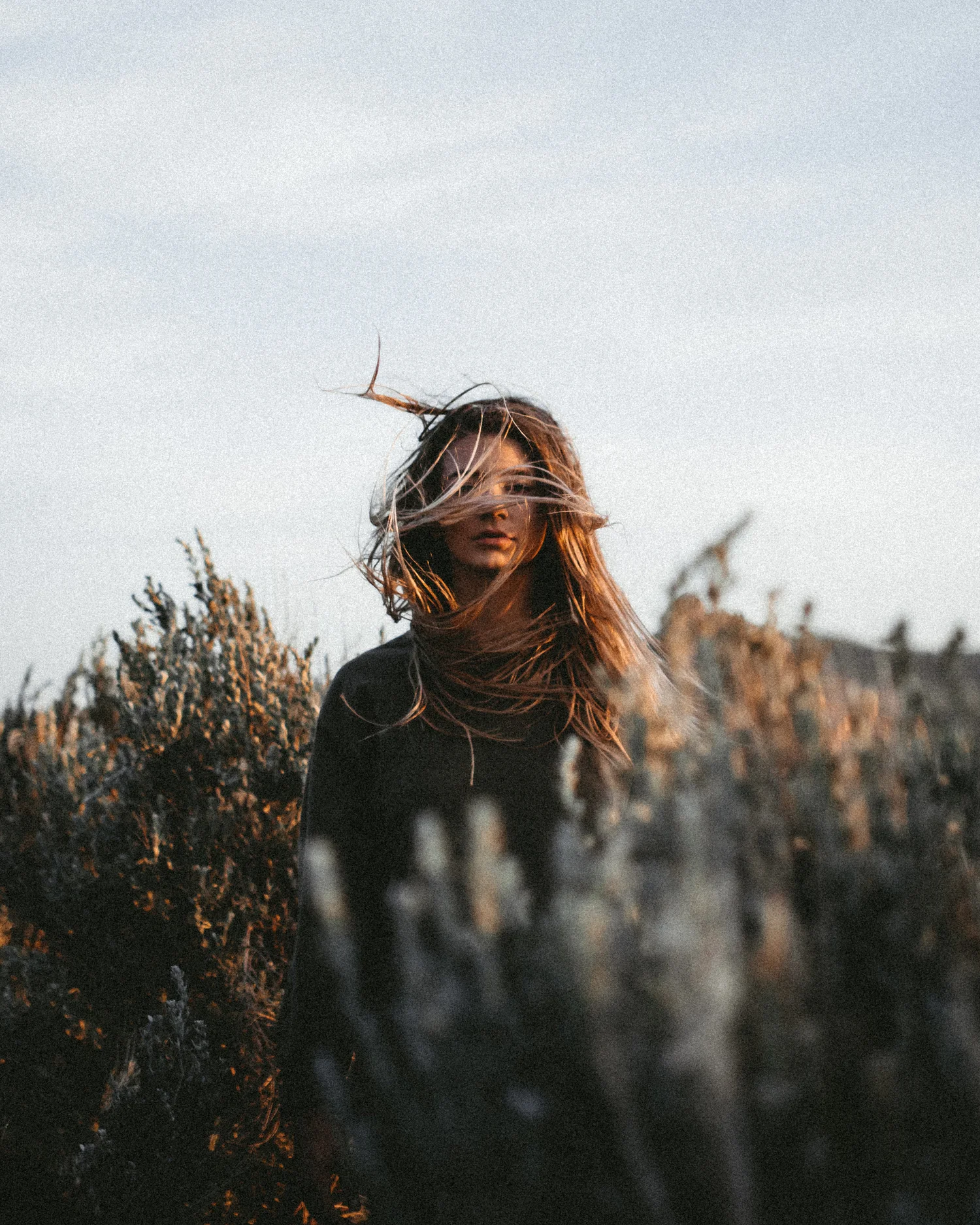 Shop — JVKE