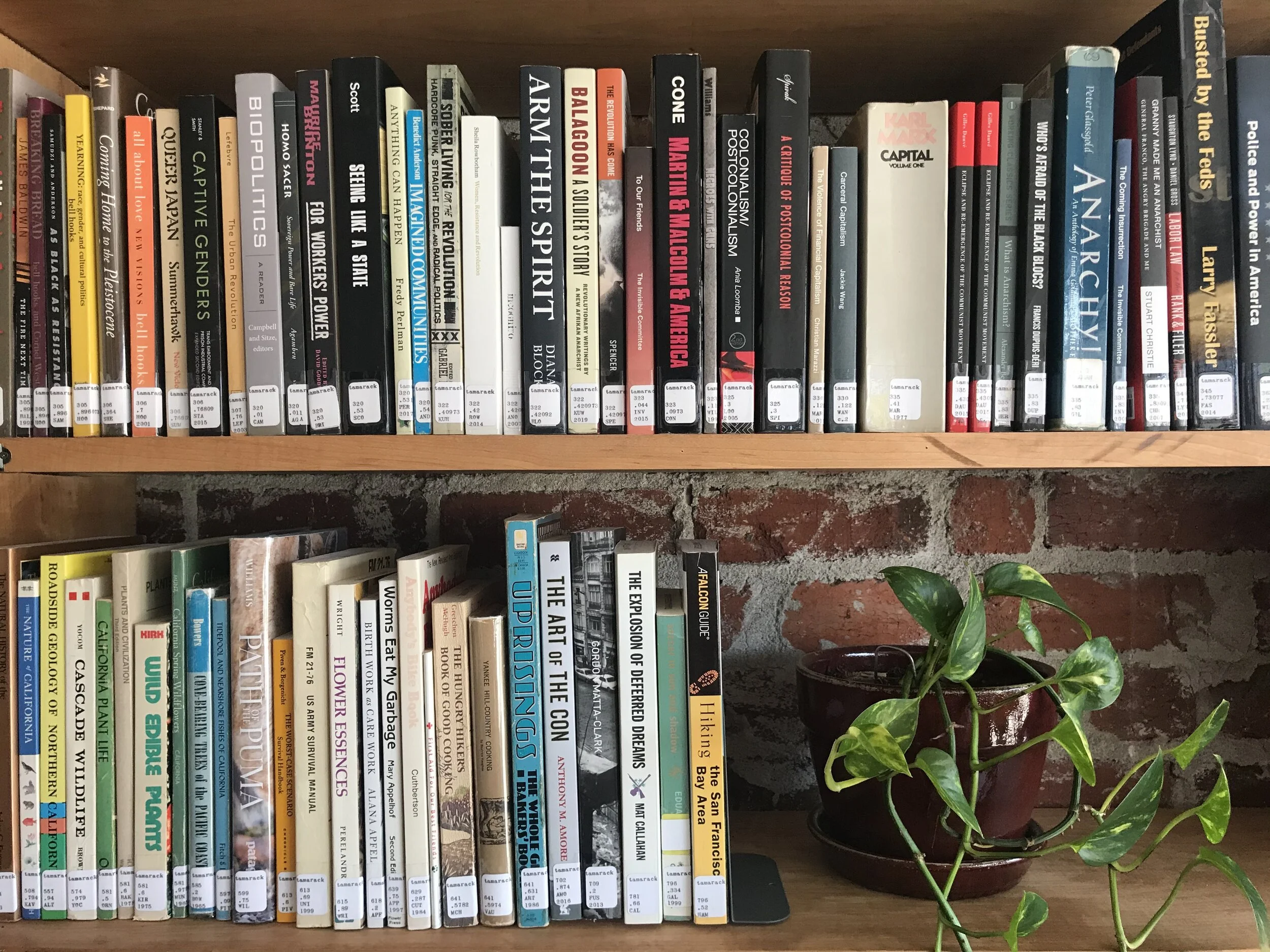 Tamarack Free Library — Tamarack