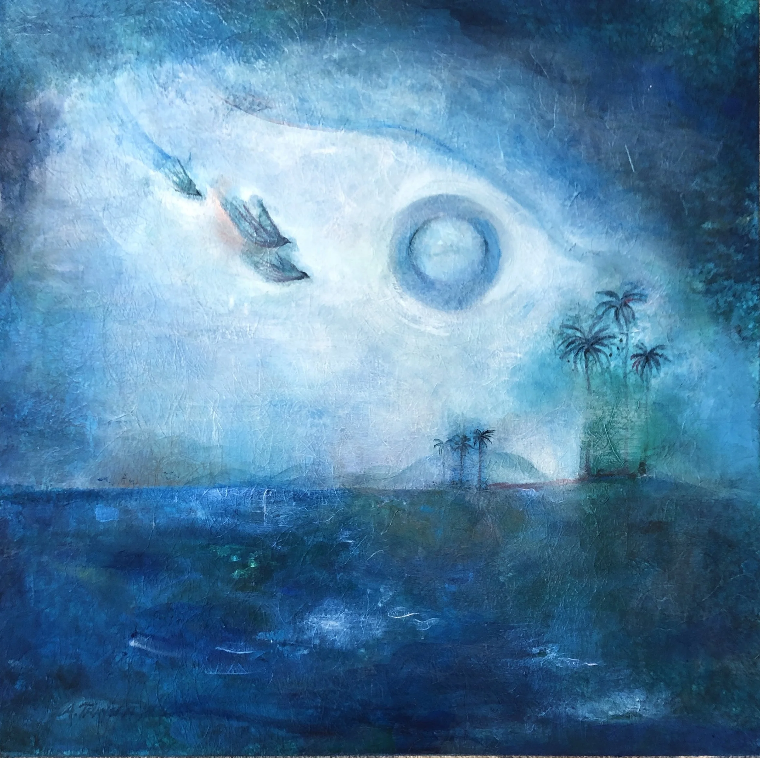 SHOP — Aimee Trayser