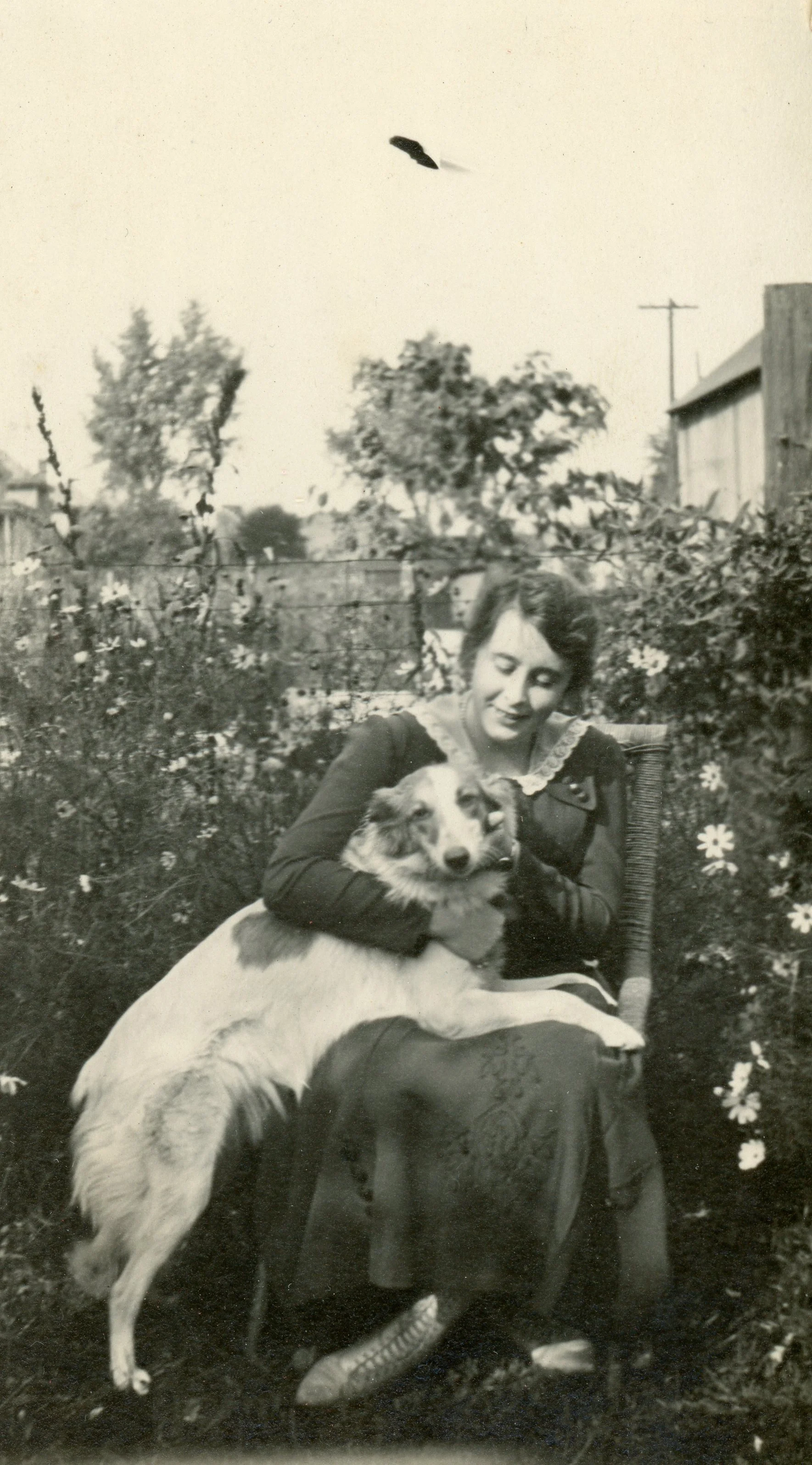 Huber — Family History