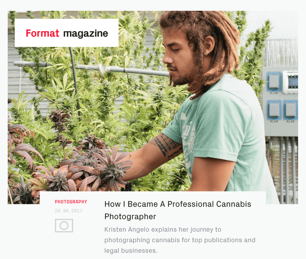 Cannabis Photography | A Pot Farmer's Daughter® | Press