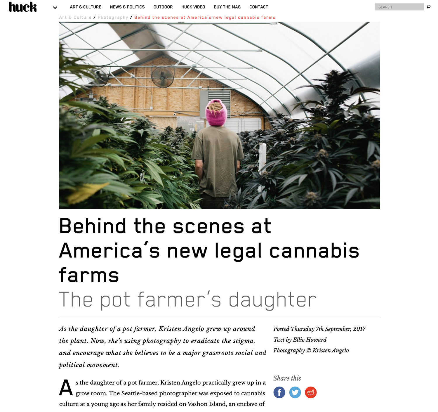 Cannabis Photography | A Pot Farmer's Daughter® | Press