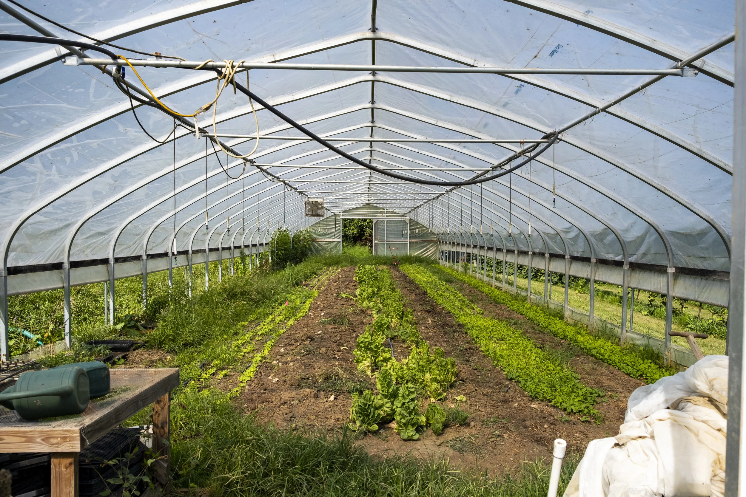 A Tour of Carriage House Farm — Deeper Roots Coffee