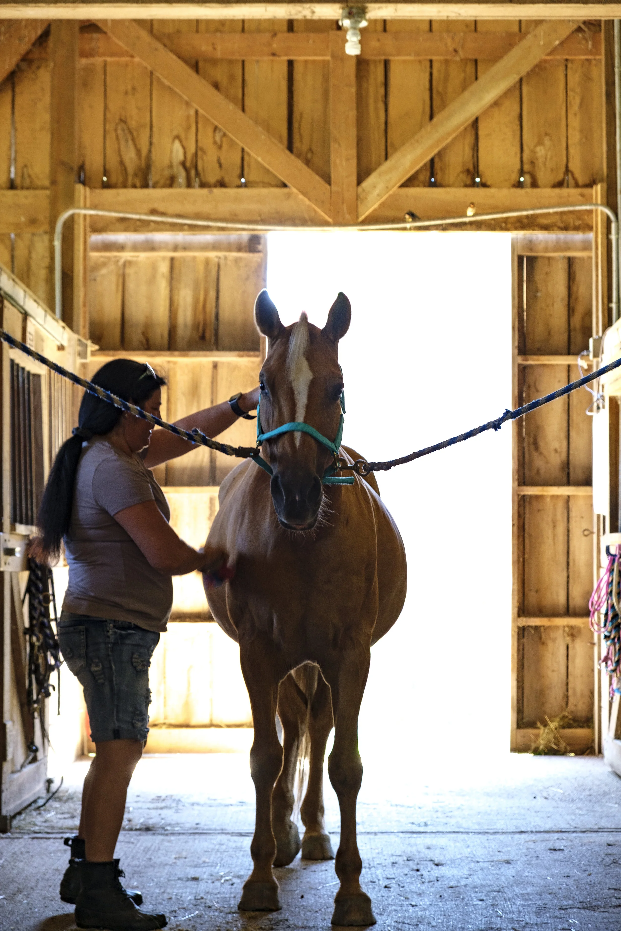 A Tour of Carriage House Farm — Deeper Roots Coffee