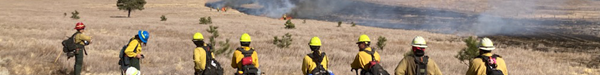 Rx Fire Survey — Rural Voices for Conservation Coalition