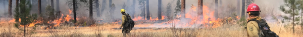 Rx Fire Survey — Rural Voices for Conservation Coalition