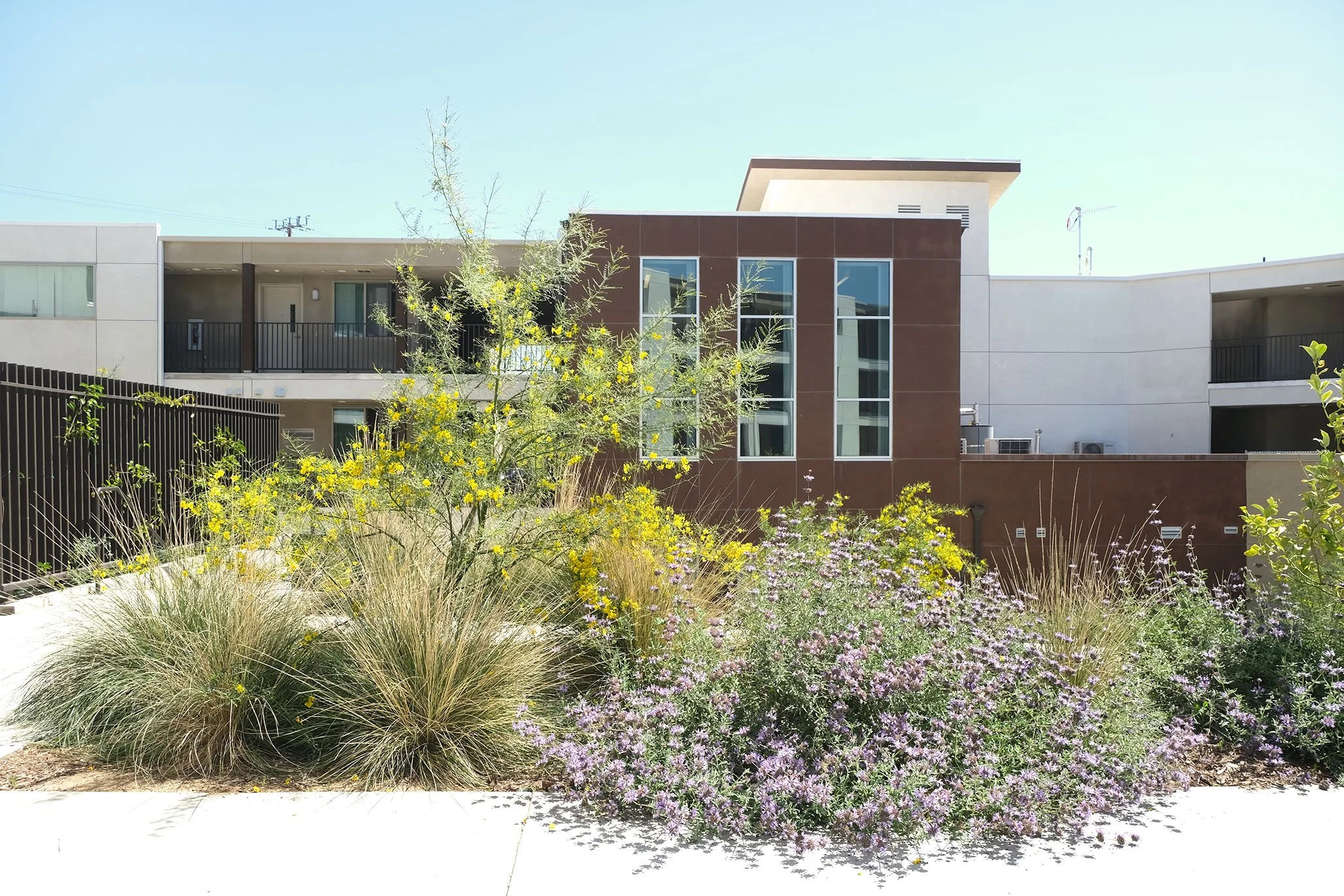 Metamorphosis on Foothill - Clifford Beers Supportive housing