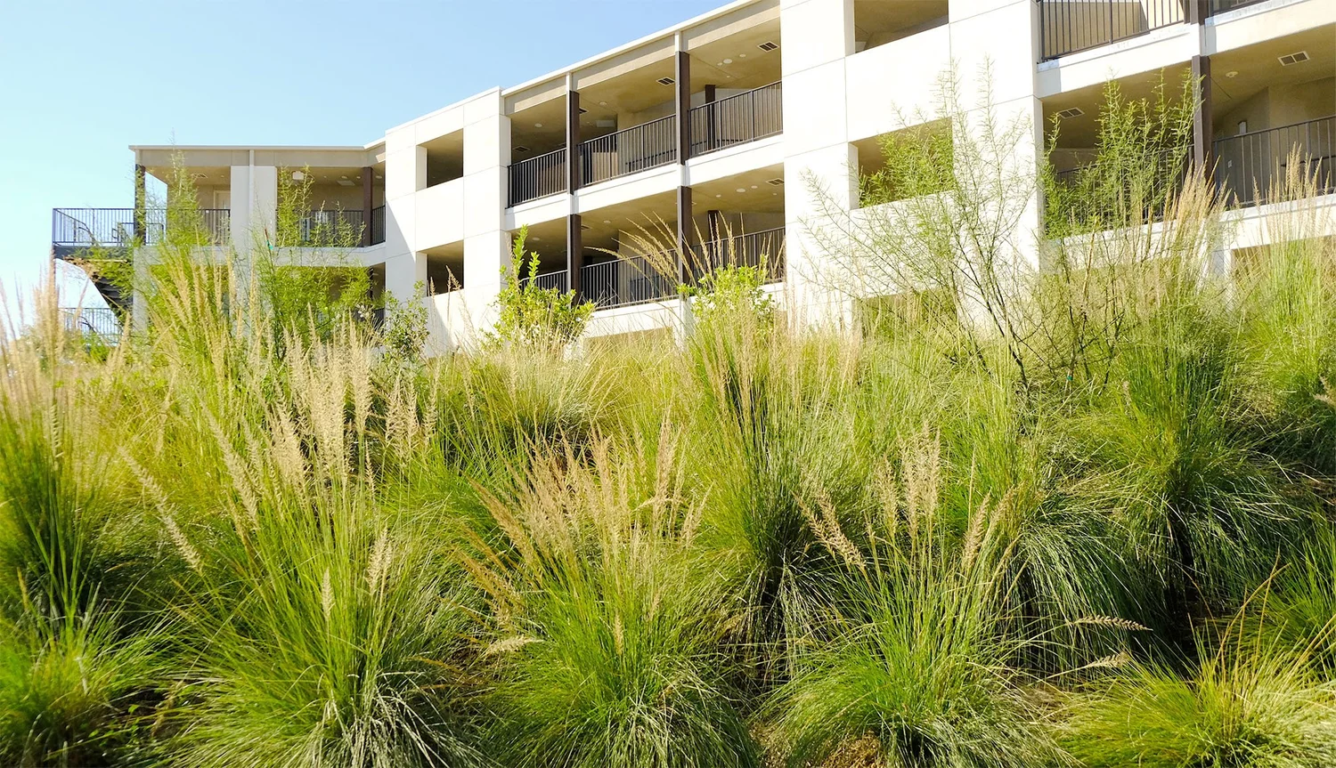 Metamorphosis on Foothill - Clifford Beers Supportive housing