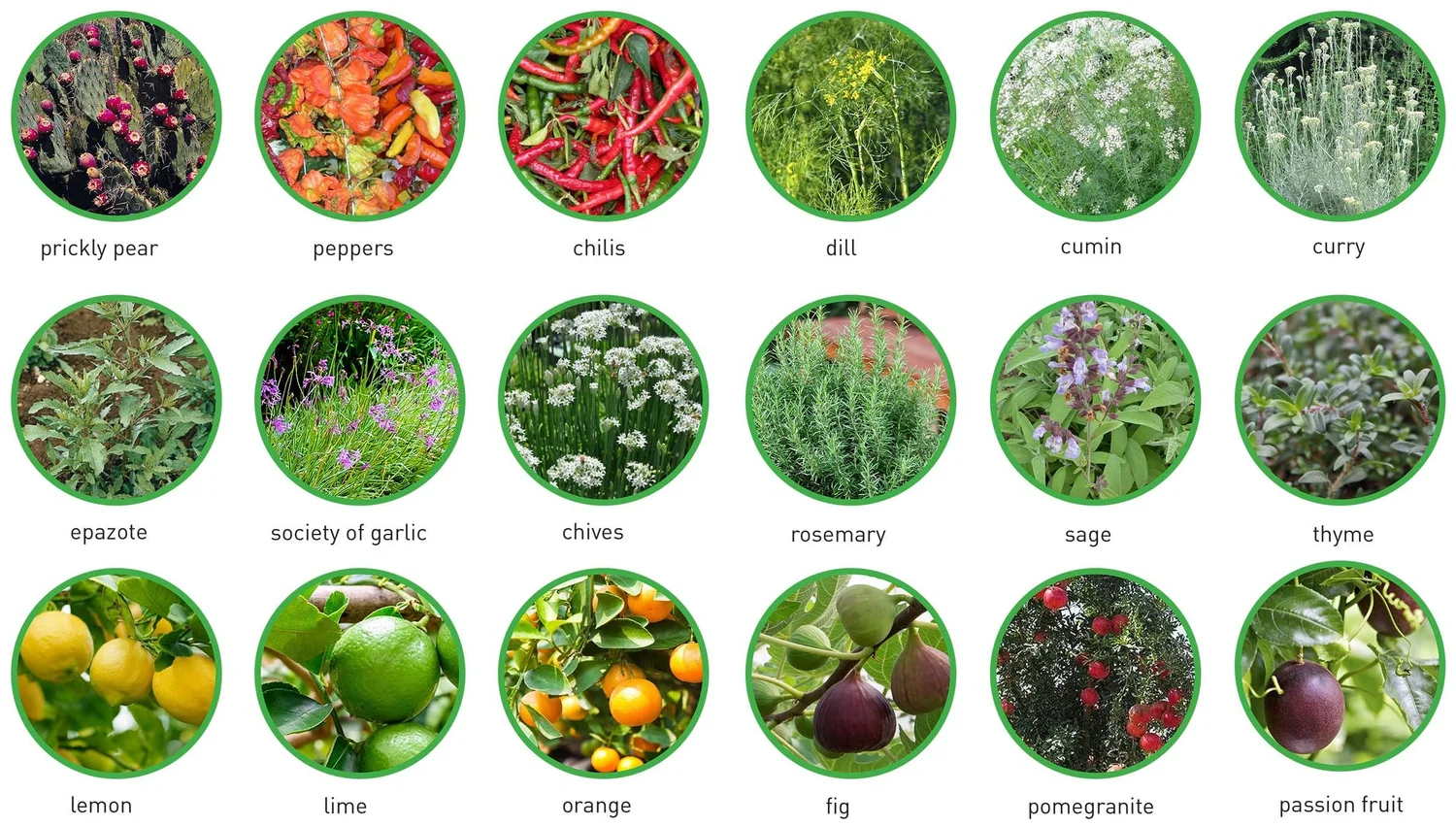 SEED LA, The SEED School of Los Angeles County
