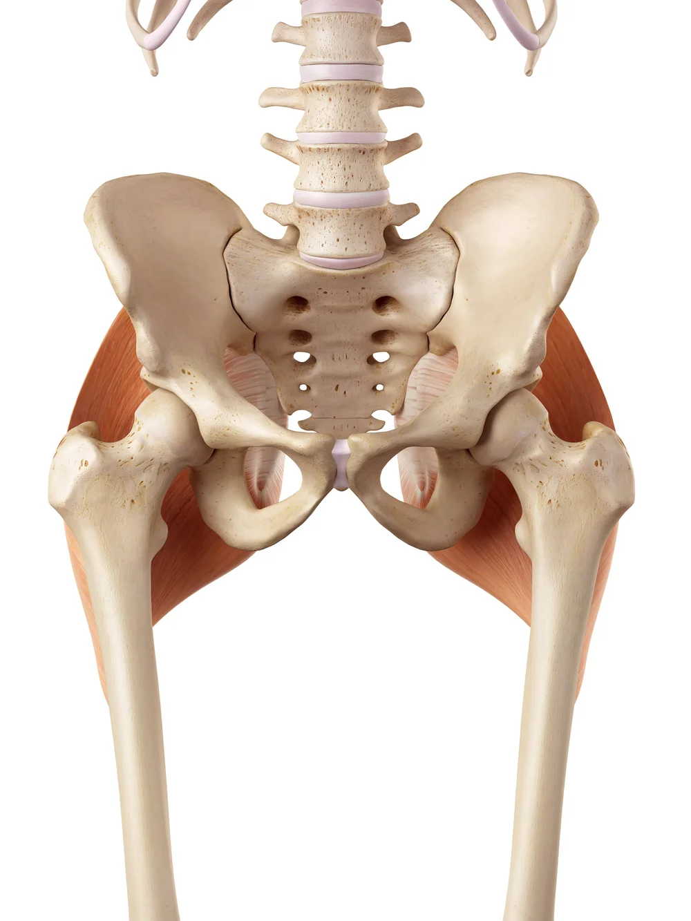 Video — The Online School of Exercise