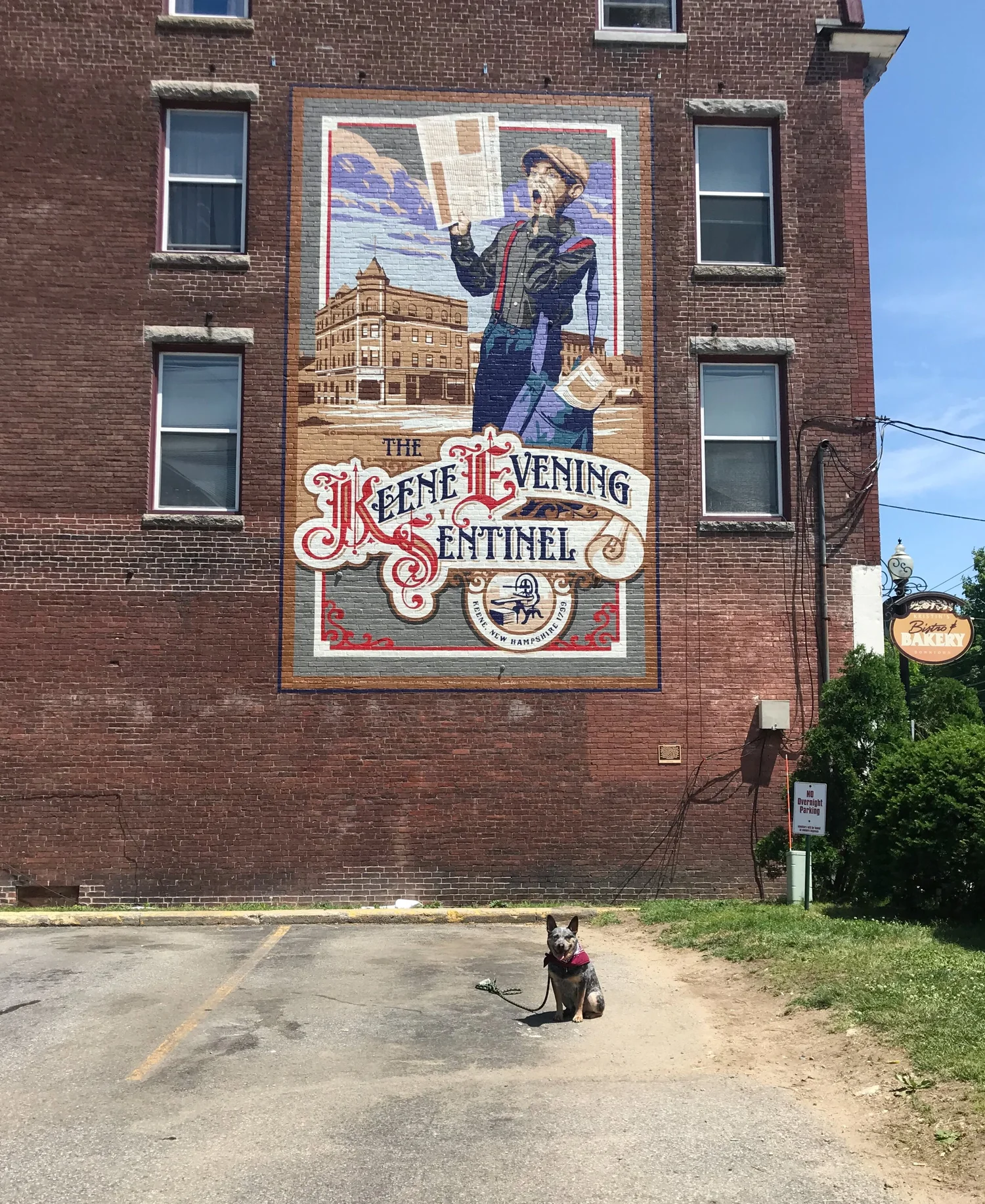Keene, New Hampshire Walldog Meet — HUMAN MADE Signs & Murals