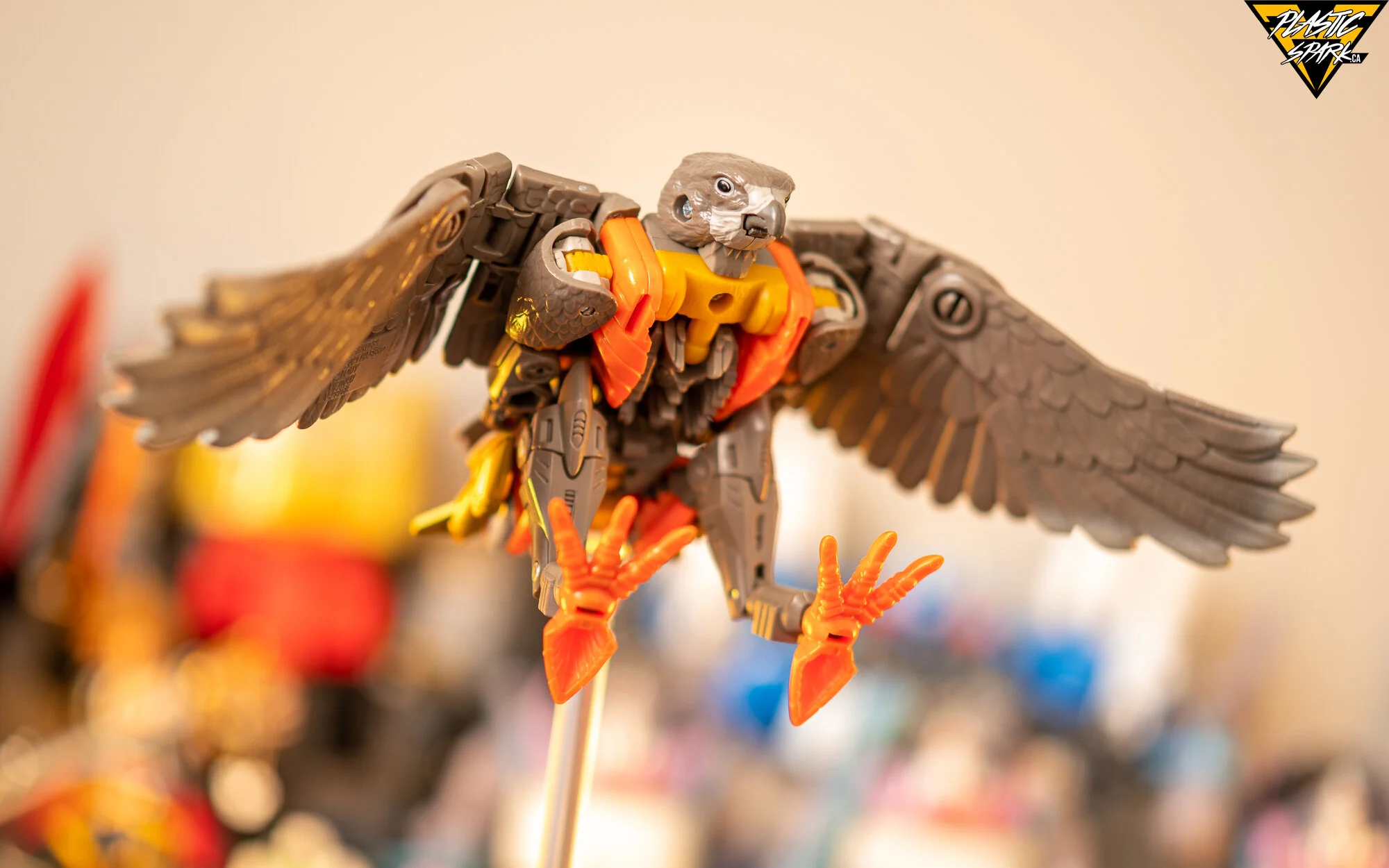 Gallery - Kingdom Airazor — Plastic Spark Photography