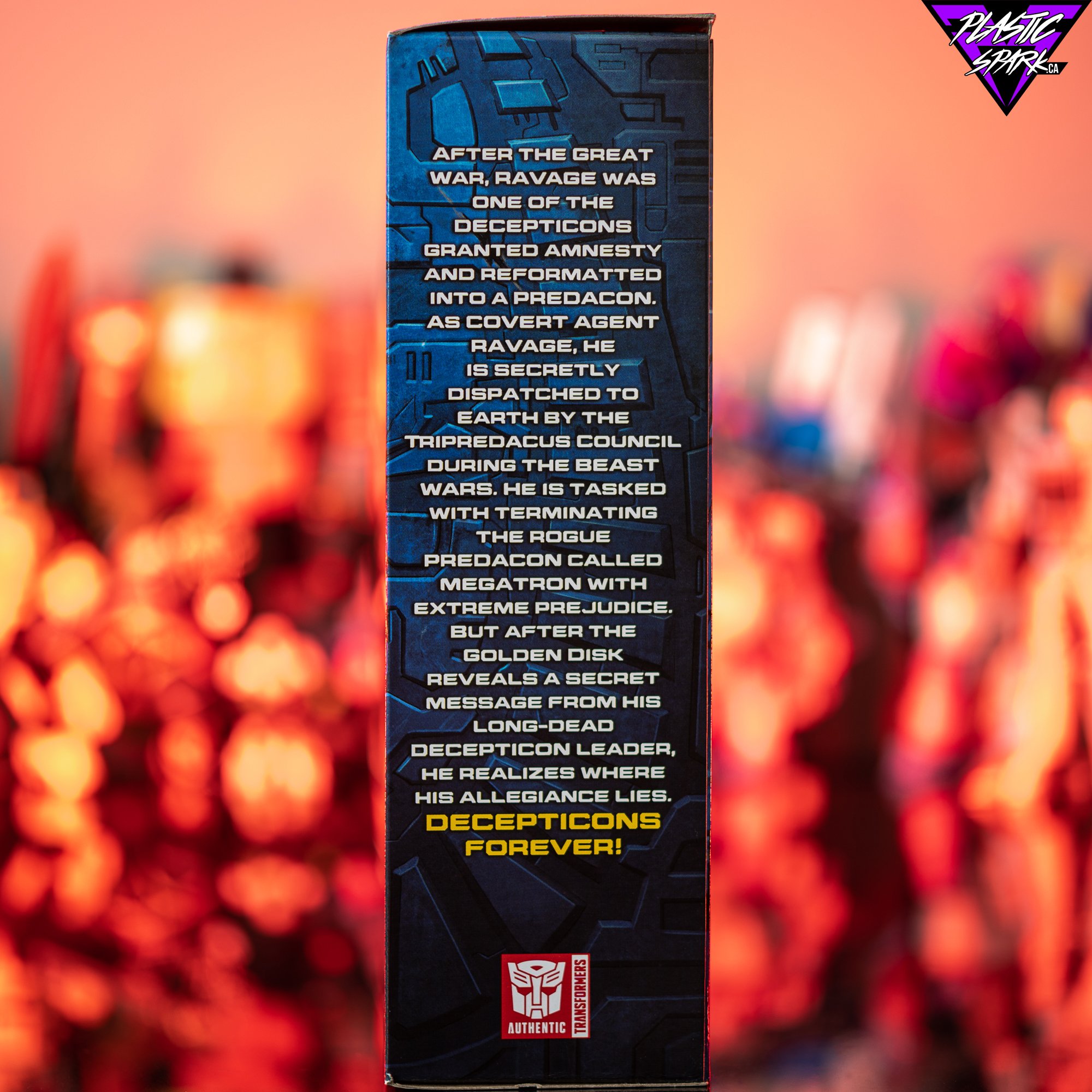 Gallery - "Decepticons Forever" Ravage — Plastic Spark Photography
