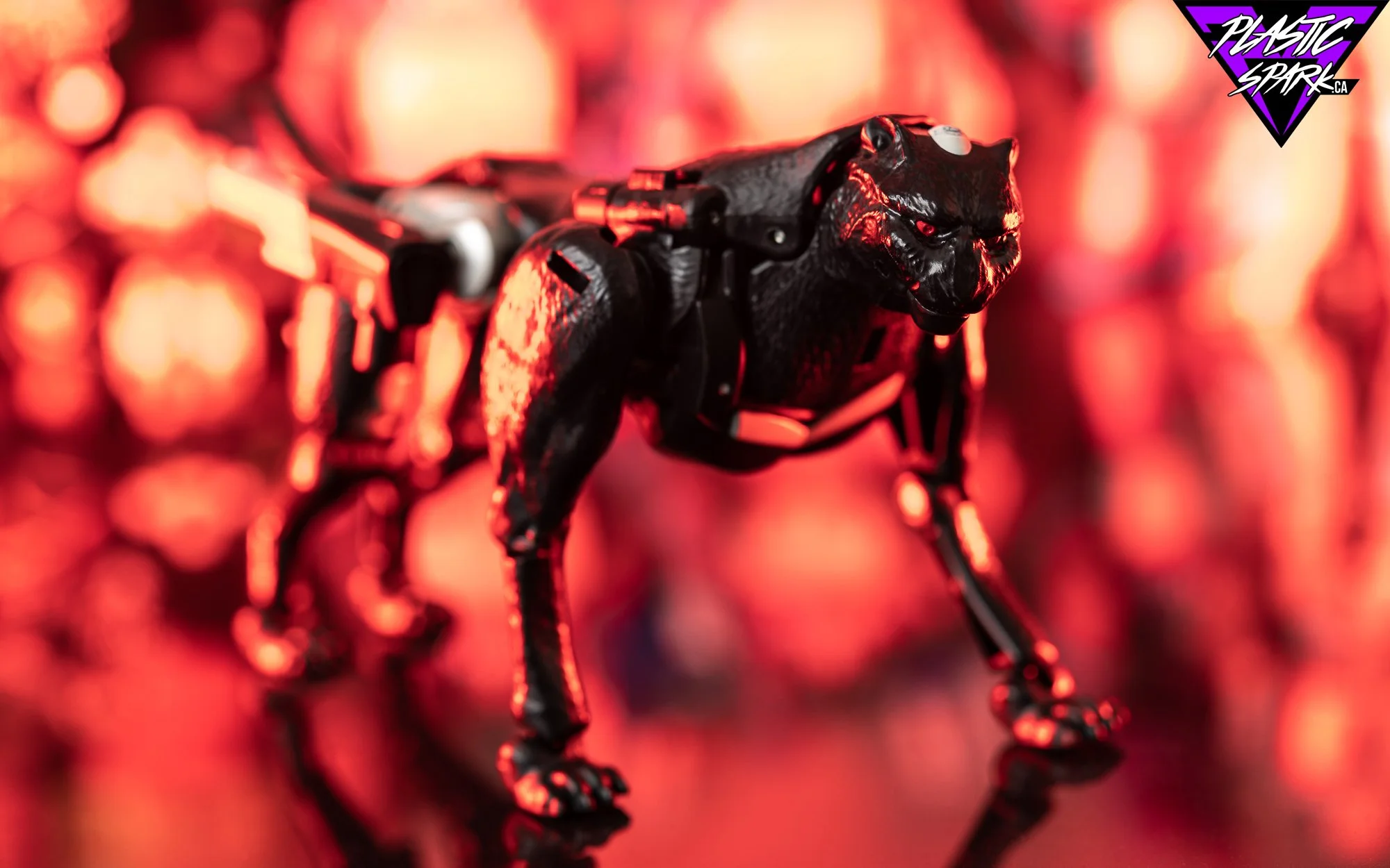 Gallery - "Decepticons Forever" Ravage — Plastic Spark Photography