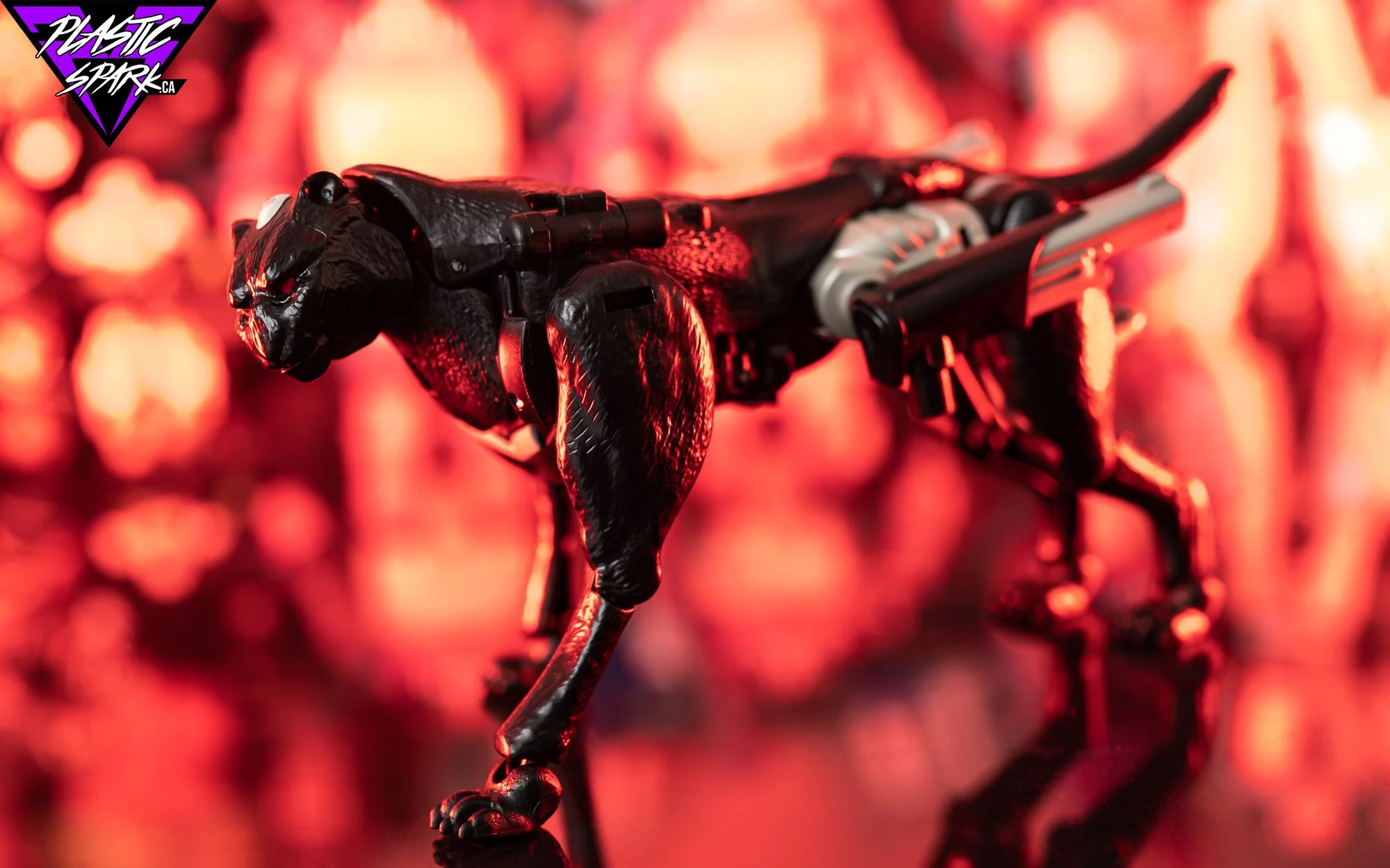 Gallery - "Decepticons Forever" Ravage — Plastic Spark Photography