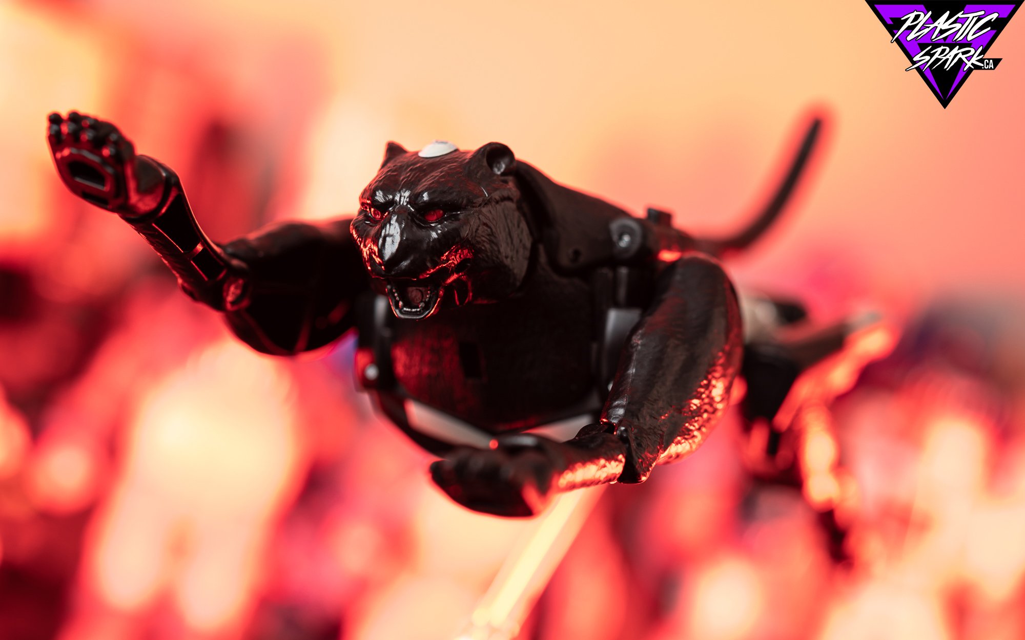 Gallery - "Decepticons Forever" Ravage — Plastic Spark Photography