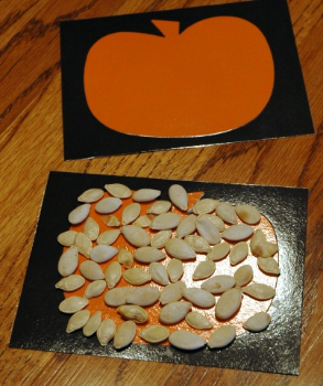 Patty's Pumpkin Patch — Hubbard's Cupboard