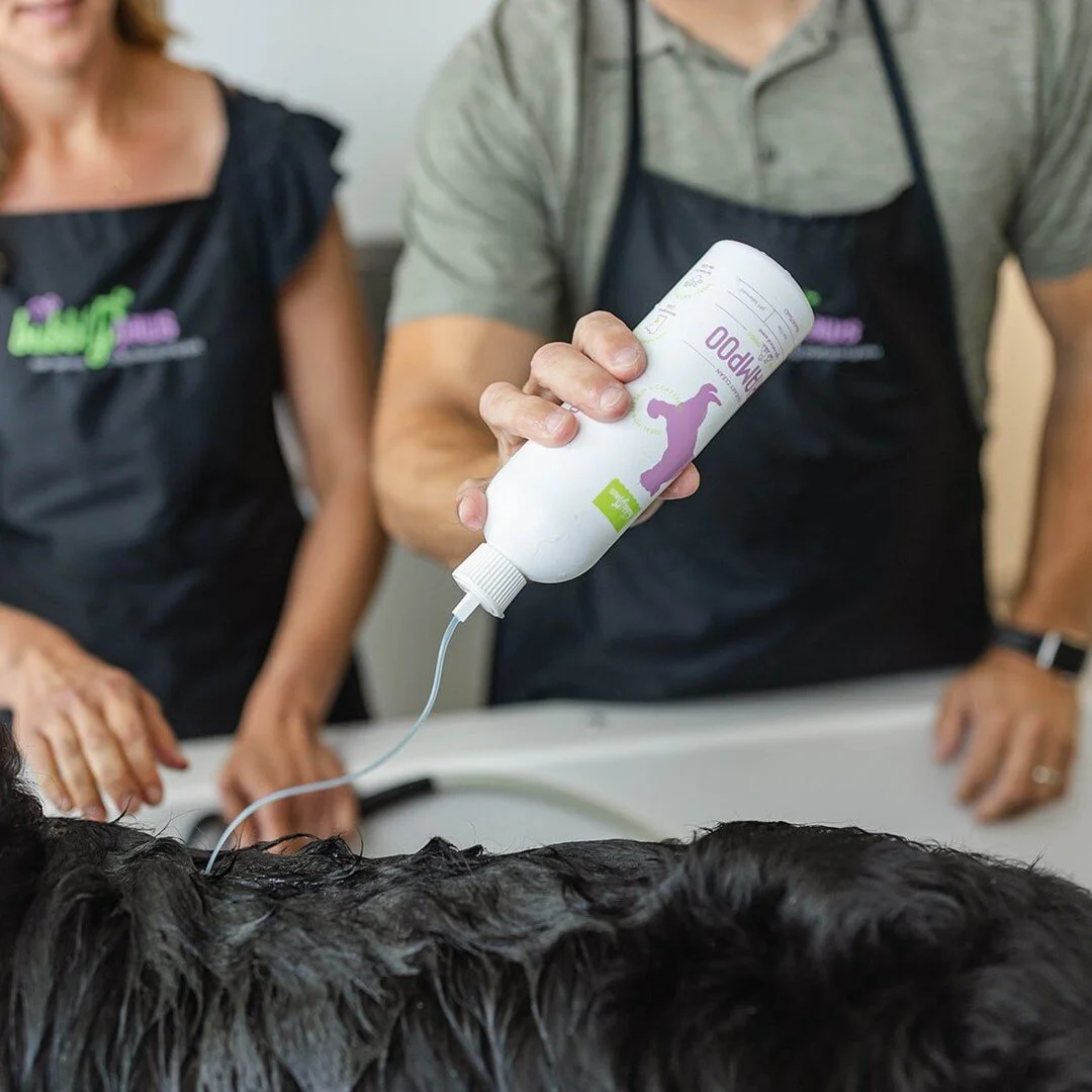 Contact — Bubbly Paws : Self Service Dog Wash and Grooming