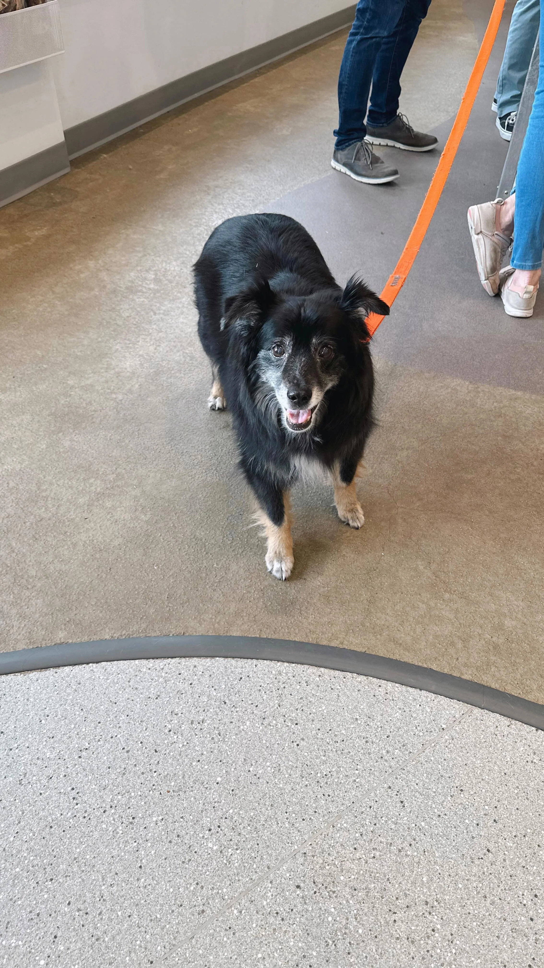 Contact — Bubbly Paws : Self Service Dog Wash and Grooming