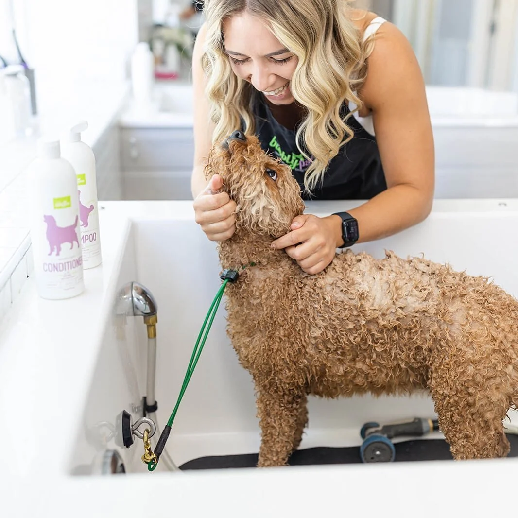 Bubbly Paws : Self Service Dog Wash and Grooming