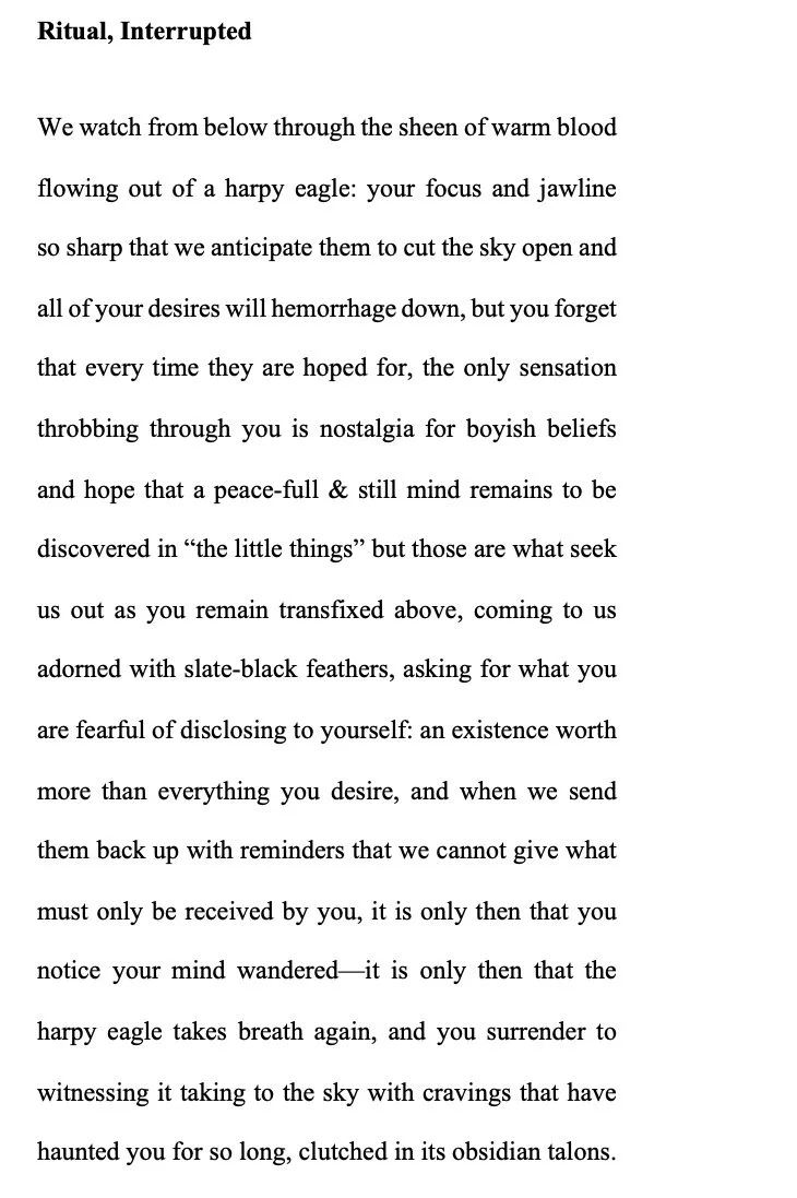 "Ritual, Interrupted" by David Ly — SAD Mag