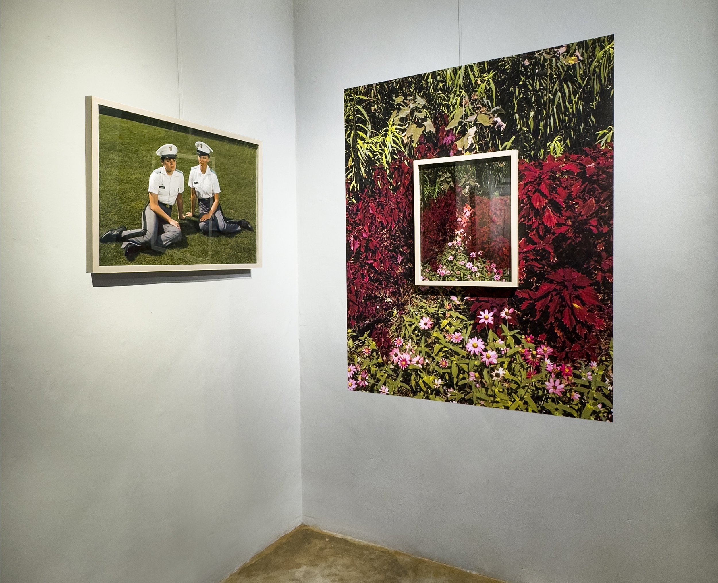 Exhibitions — Elizabeth Bick