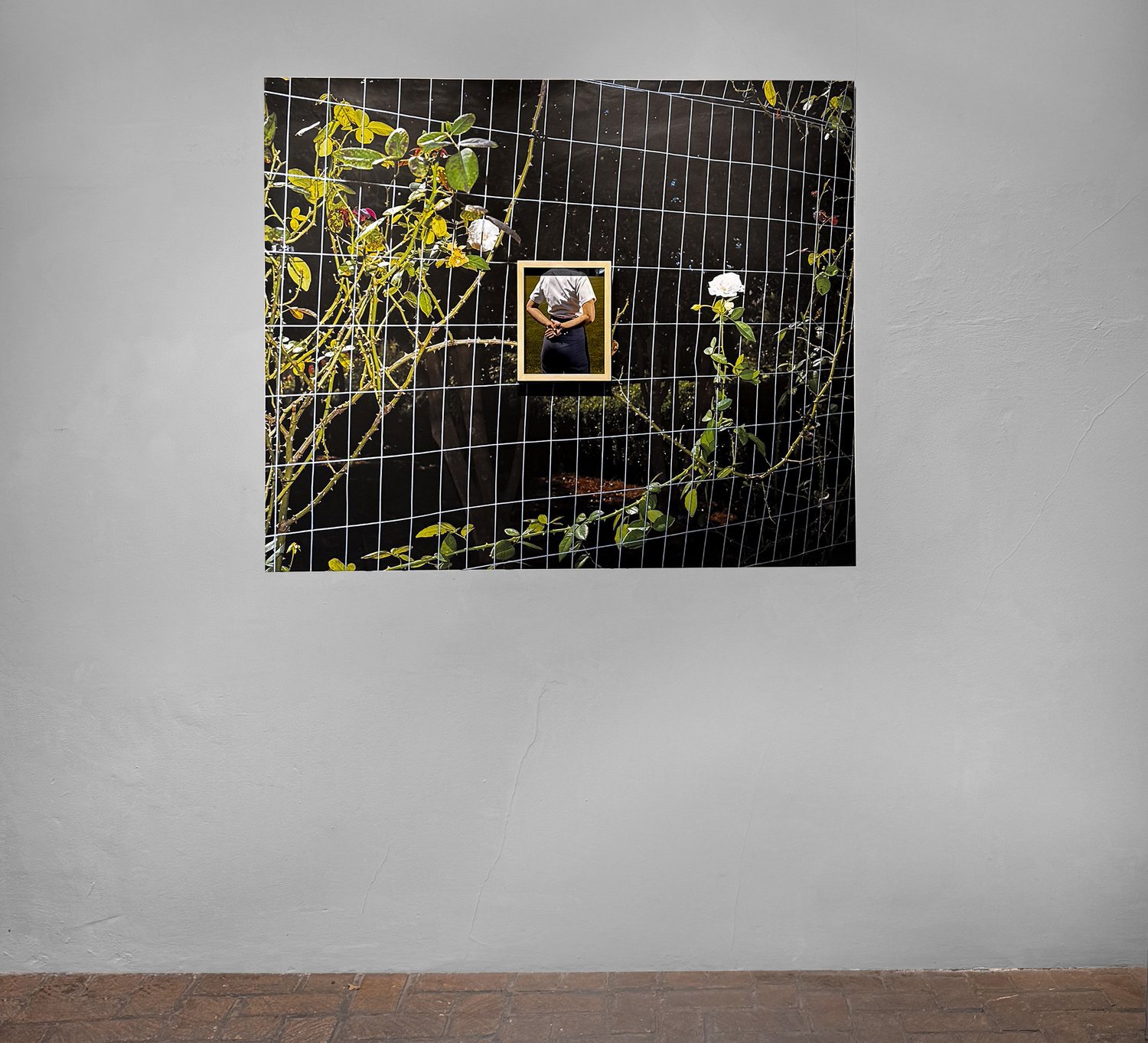 Exhibitions — Elizabeth Bick