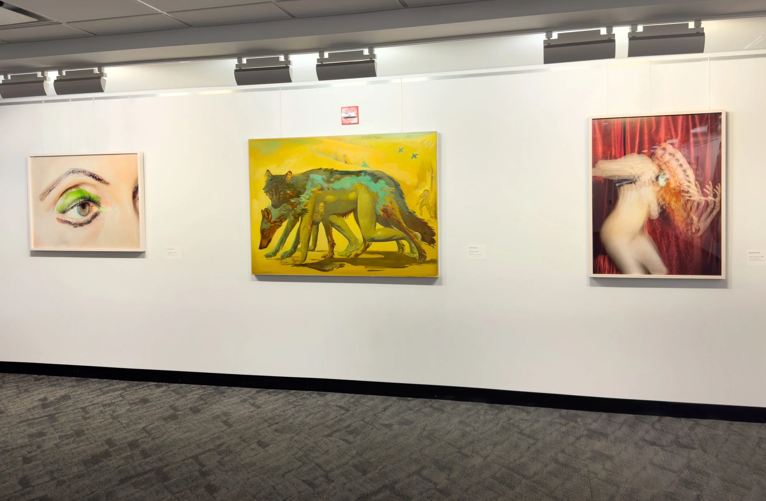 Exhibitions — Elizabeth Bick