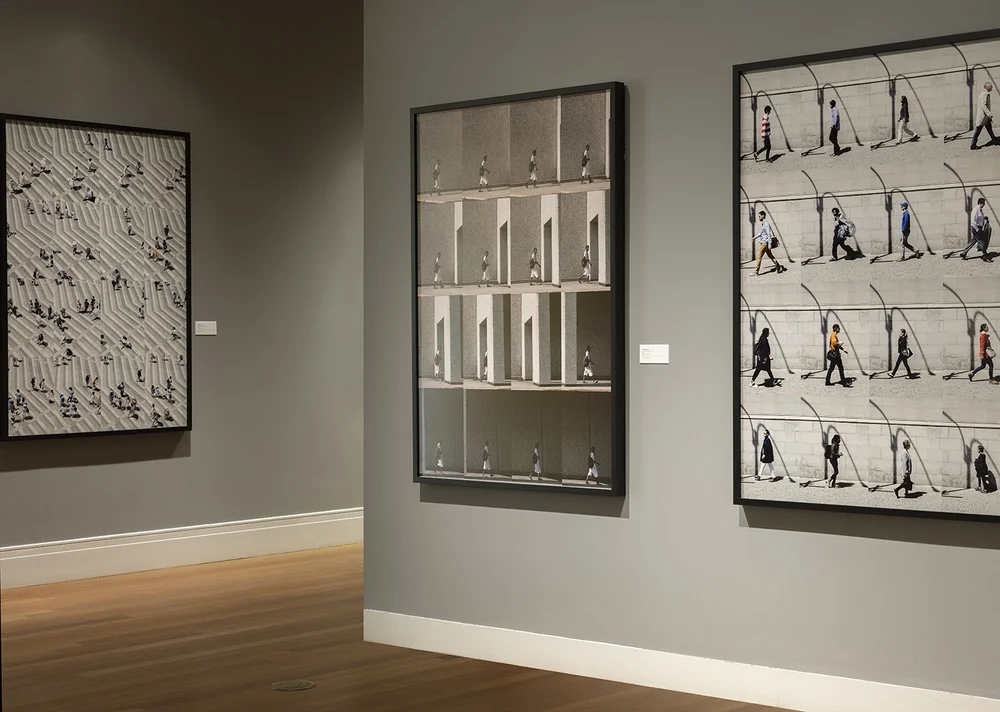 Exhibitions — Elizabeth Bick